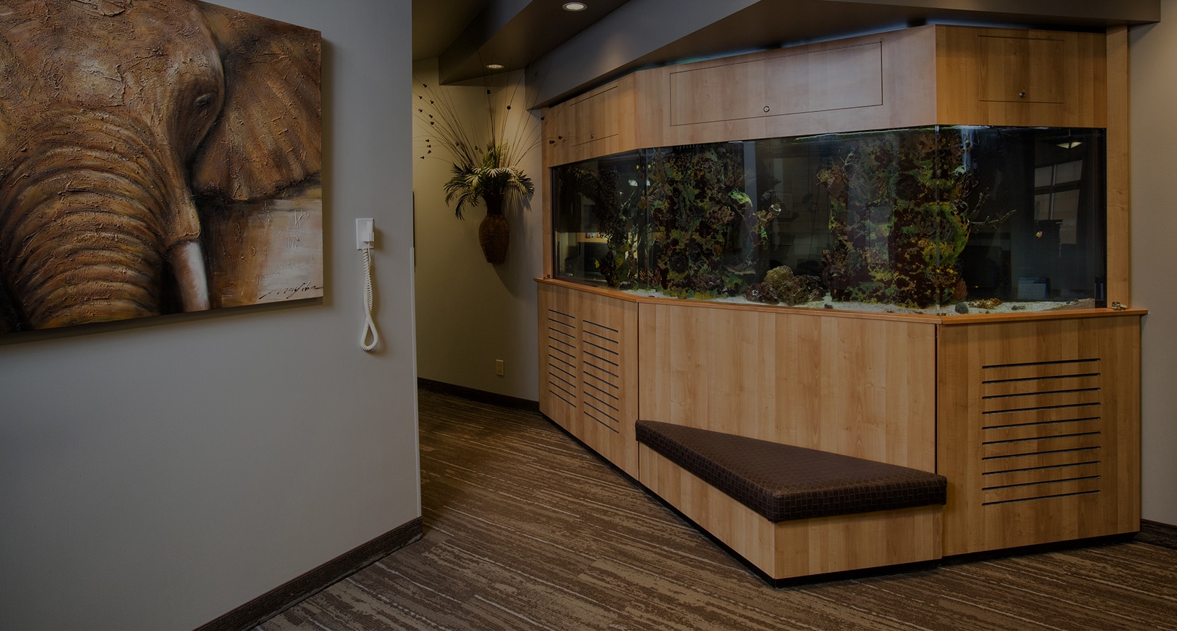 slider | Signature Orthodontics